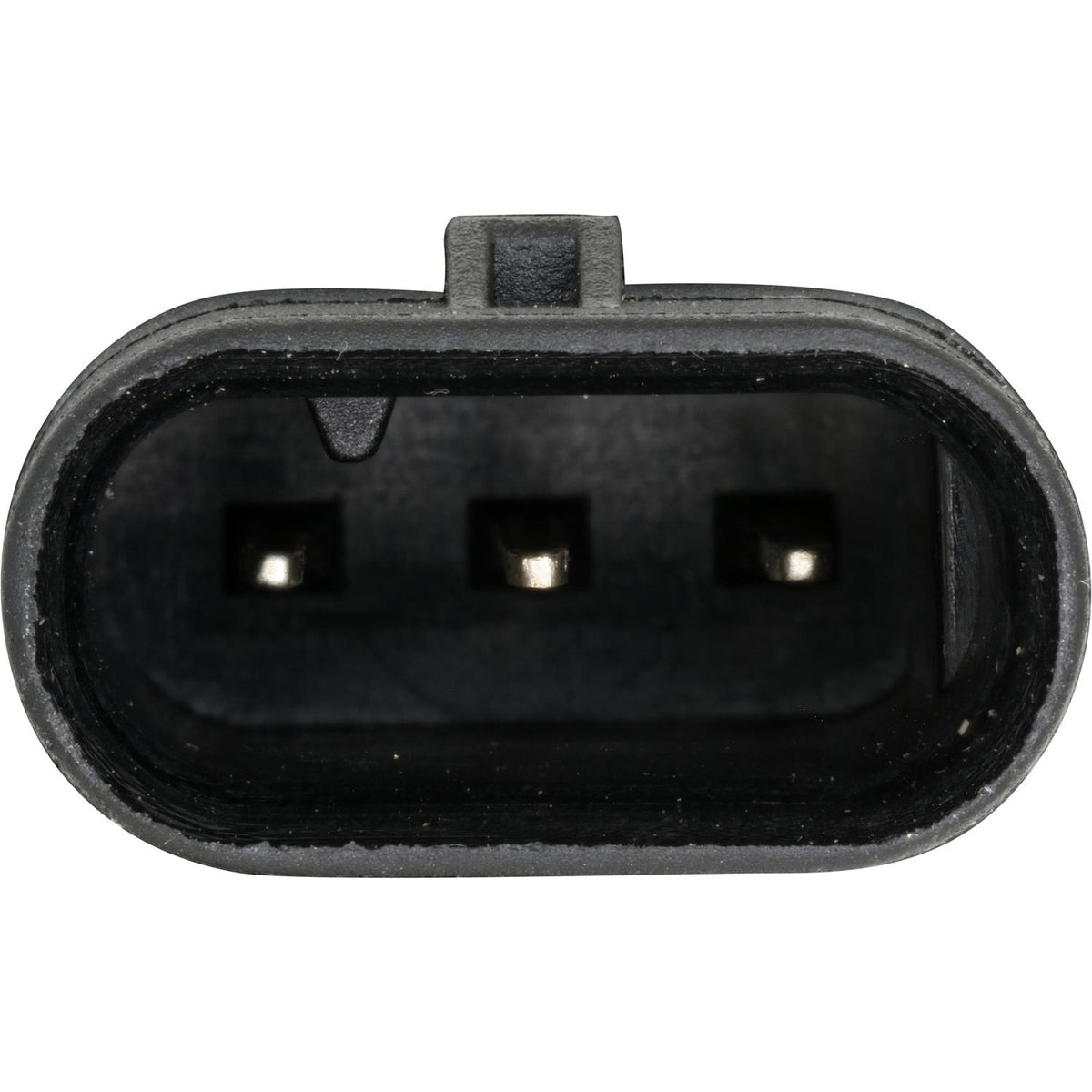 2crk0357_holstein_2_1200x1200.jpg?v=1722727547