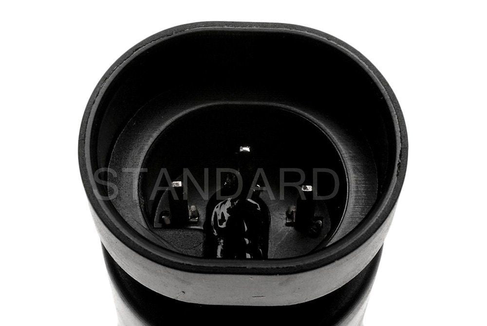 ps_245_standard_2_1200x1200.jpg?v=1717196549