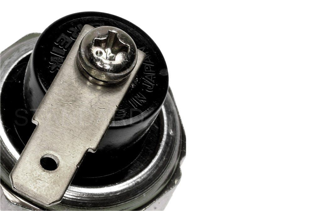 ps_253_standard_2_1200x1200.jpg?v=1717196301