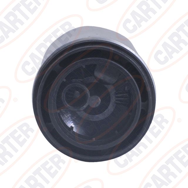 p90030_carter_2_1200x1200.jpg?v=1609915442